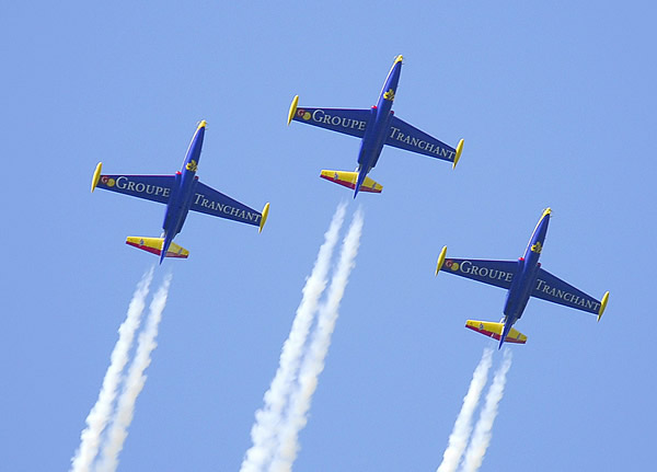 Aerobatic demonstration and aerial flight team information for the ...