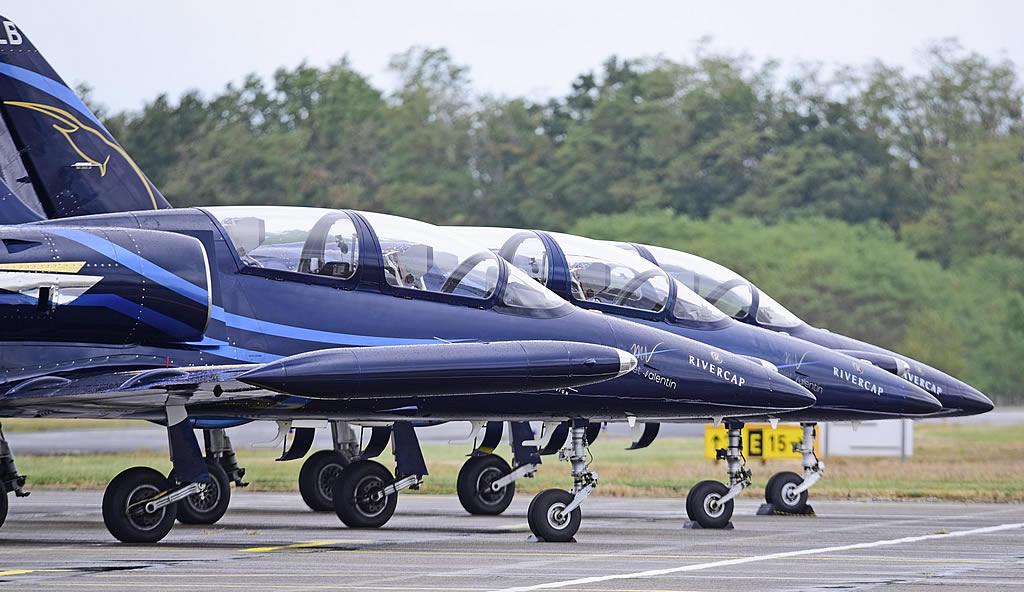 Aerobatic demonstration and aerial flight team information for the ...